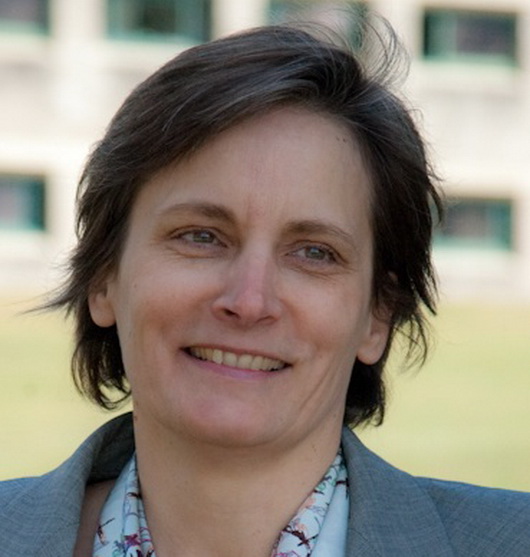 มลภาวะโลก : นักวิจัยชี้สหประชาติ-องค์การระหว่างประเทศ ให้ข้อมูลปล่อย ...