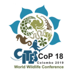 ความคืบหน้าข้อตกลง "ไซเตส" - พร้อมกระบวนการลักลอบขนตัวนิ่มเส้นทาง ...