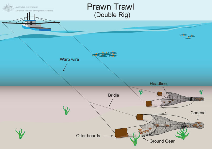 “อวนลาก (Trawling)” เครื่องมือทำลายล้างทรัพยากร จริงหรือ ? - ThaiPublica