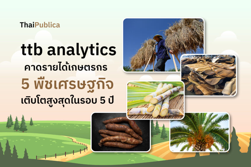 Ttb Analytics คาด 5 พืชเศรษฐกิจปี 65 สร้างรายได้เกษตรกร 8 86 แสนล้าน