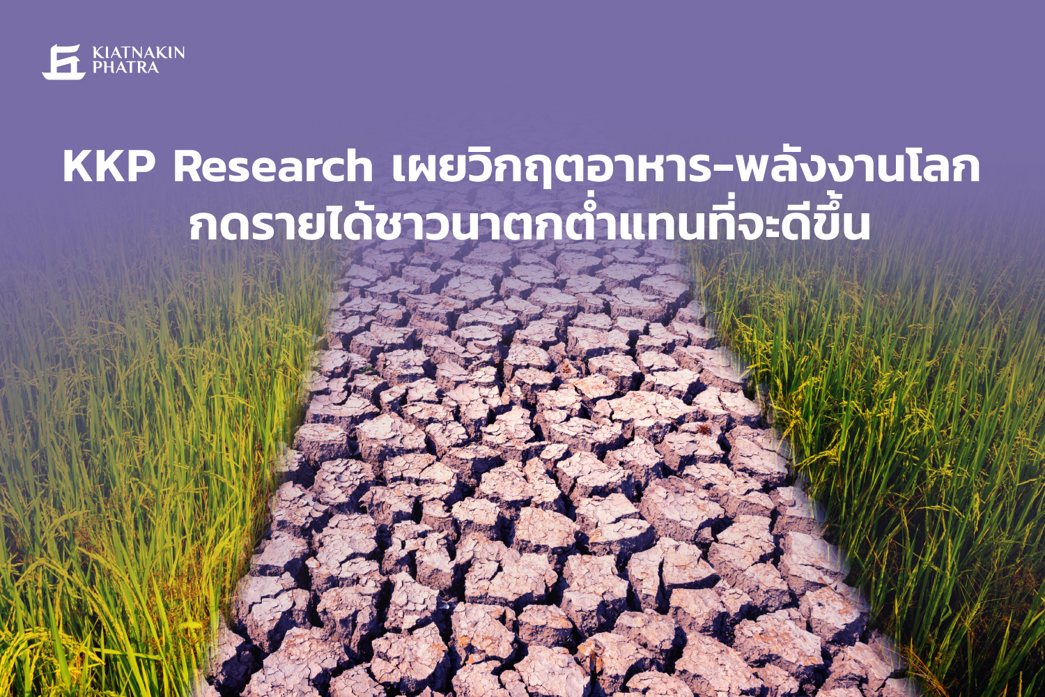 KKP Research เผยวิกฤติอาหาร-พลังงานโลก... "ชาวนาผู้รับเคราะห์สงครามและ ...