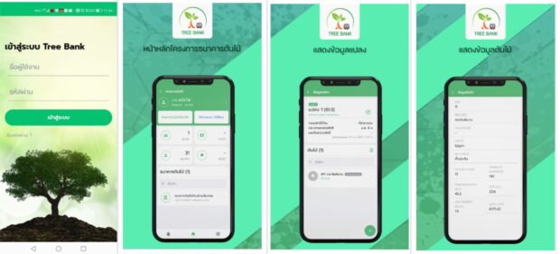 แอปฯTree Bank ธ.ก.ส. เก็บข้อมูลต้นไม้ “ประกันสินเชื่อ-ขายคาร์บอน”ลดโลก ...