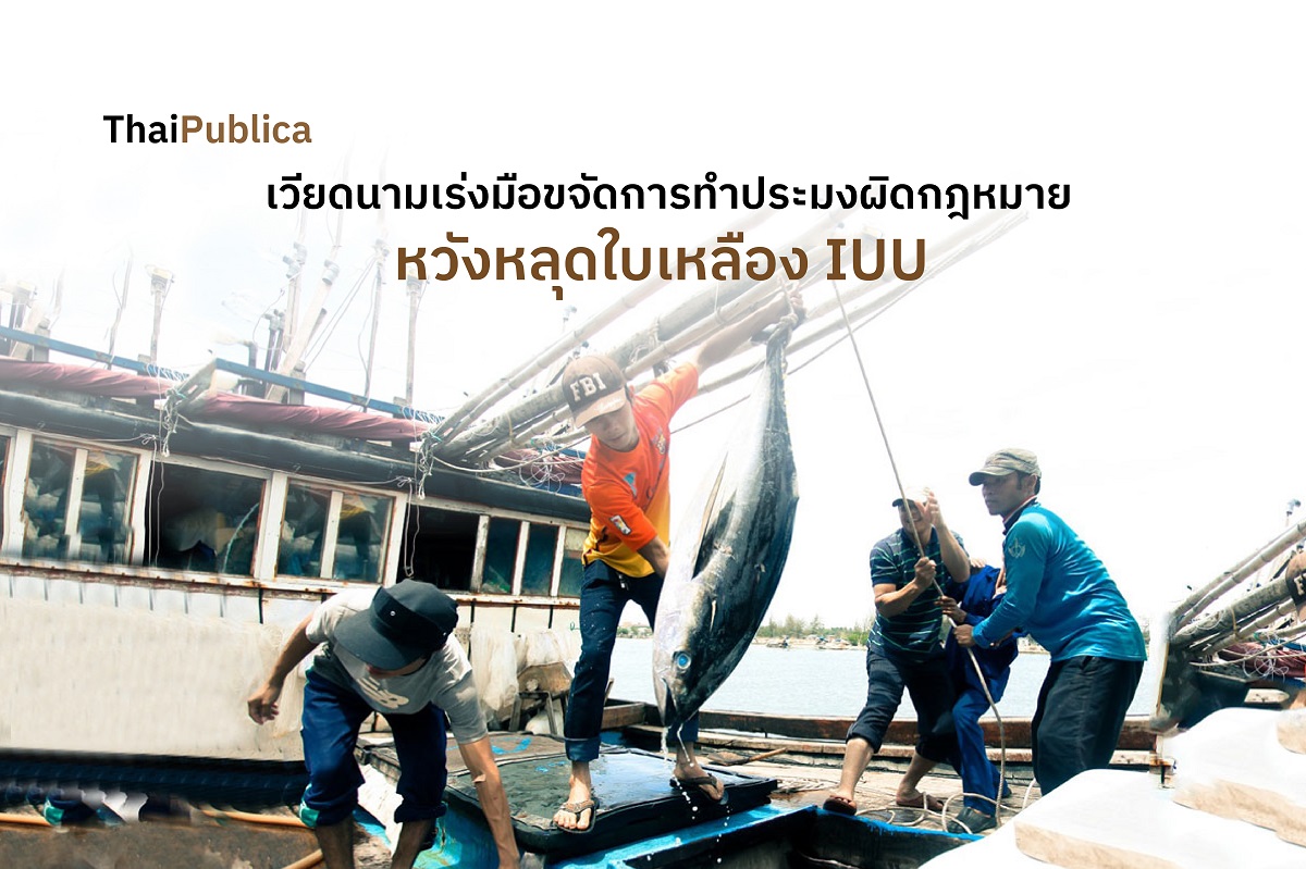 เวียดนามเร่งมือขจัดการทำประมงผิดกฎหมาย หวังหลุดใบเหลือง IUU - ThaiPublica