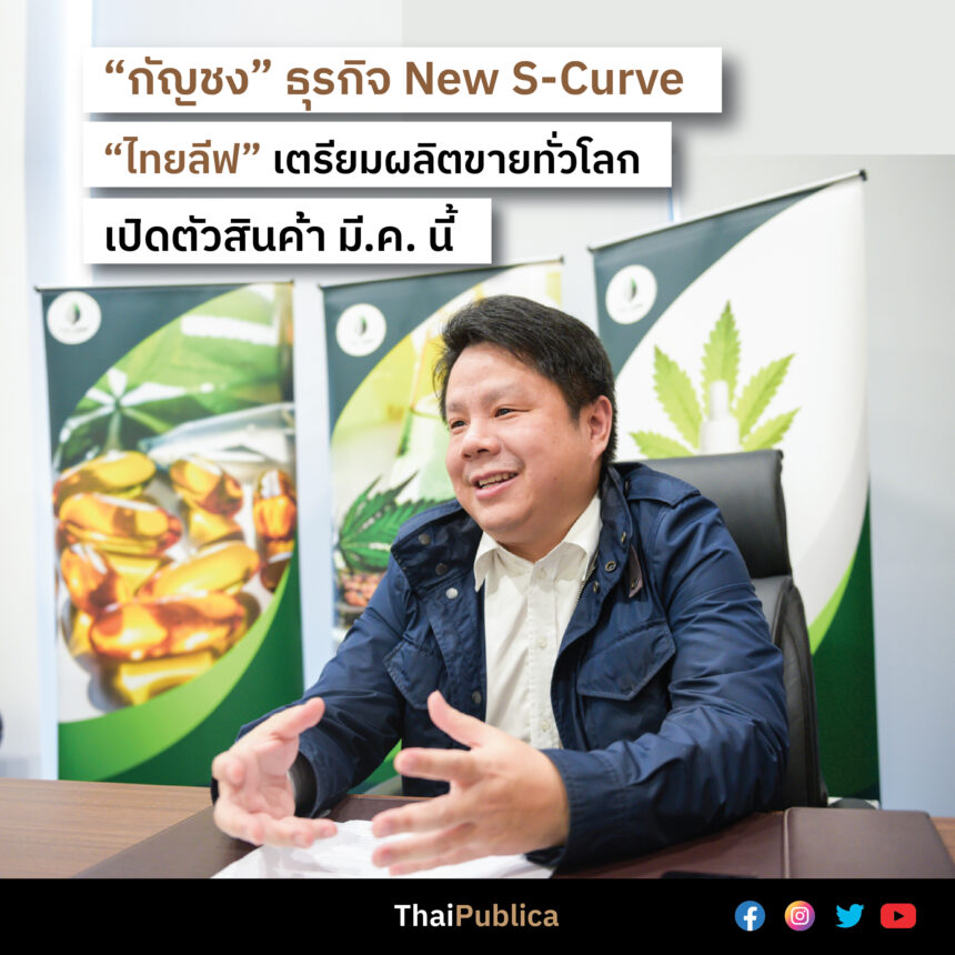 "กัญชง" ธุรกิจ New S-Curve "ไทยลีฟ" เตรียมผลิตขายทั่วโลก เปิดตัวสินค้า มี.ค. นี้ - ThaiPublica
