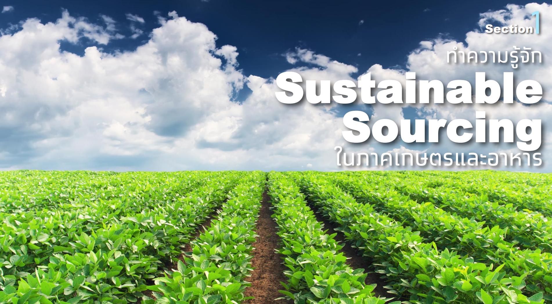 กรุงไทยชี้เทรนด์ Sustainable Sourcing มาแรง กระทบมูลค่าส่งออกเกษตร ...