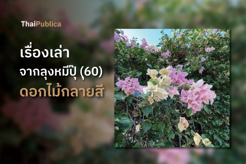 เรื่องเล่าจากลุงหมีปุ๊(60)… ดอกไม้กลายสี - ThaiPublica