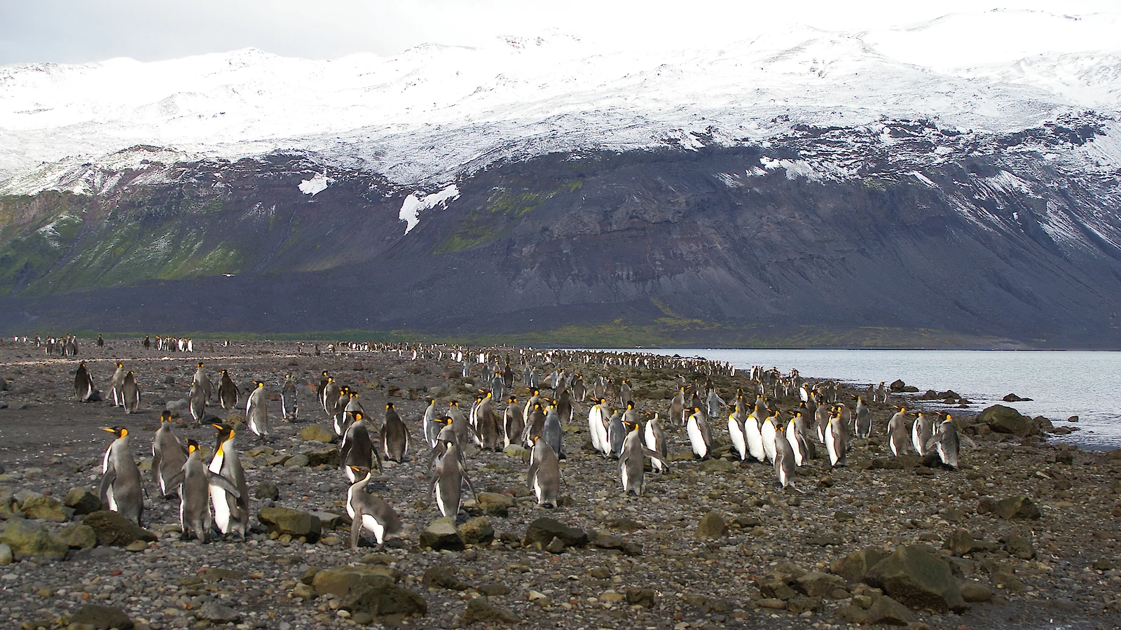 “ประเทศเพนกวิน” (Heard Island กับ McDonald Island)ก็ถูกดึงเข้าร่วม ...