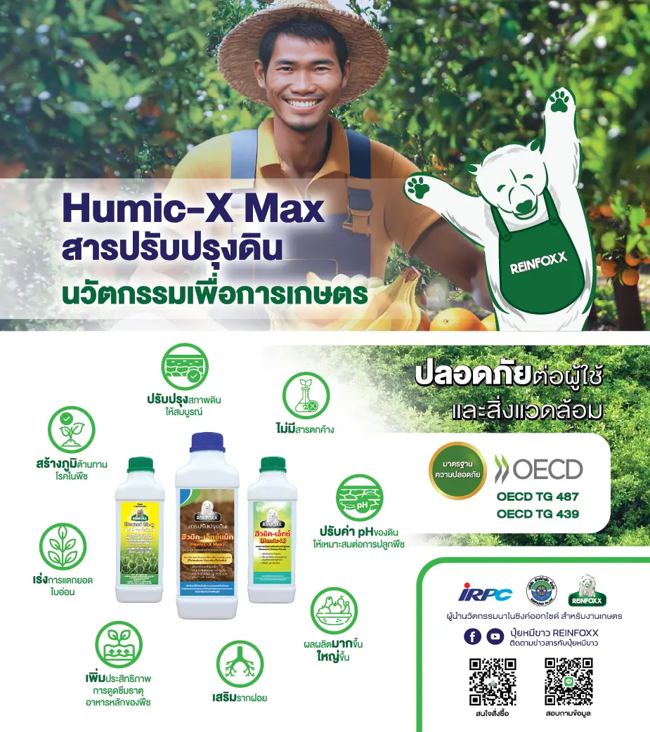 วางแผนการเงินให้ชีวิตมั่นคง ด้วยเครื่องมือคำนวณที่เข้าใจคุณ KKP CalCool ...